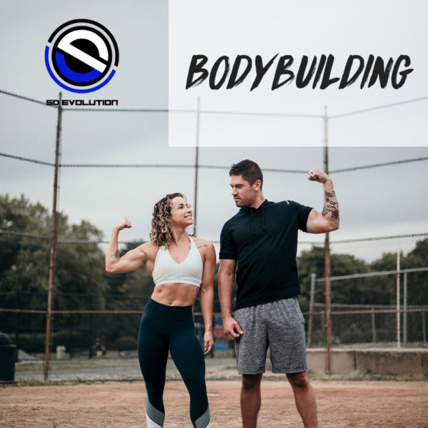 Bodybuilding Templates - SD Evolution